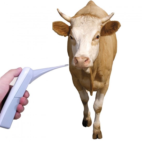 Entero Digital Vet Thermometer for Animals (Professional Veterinary ...