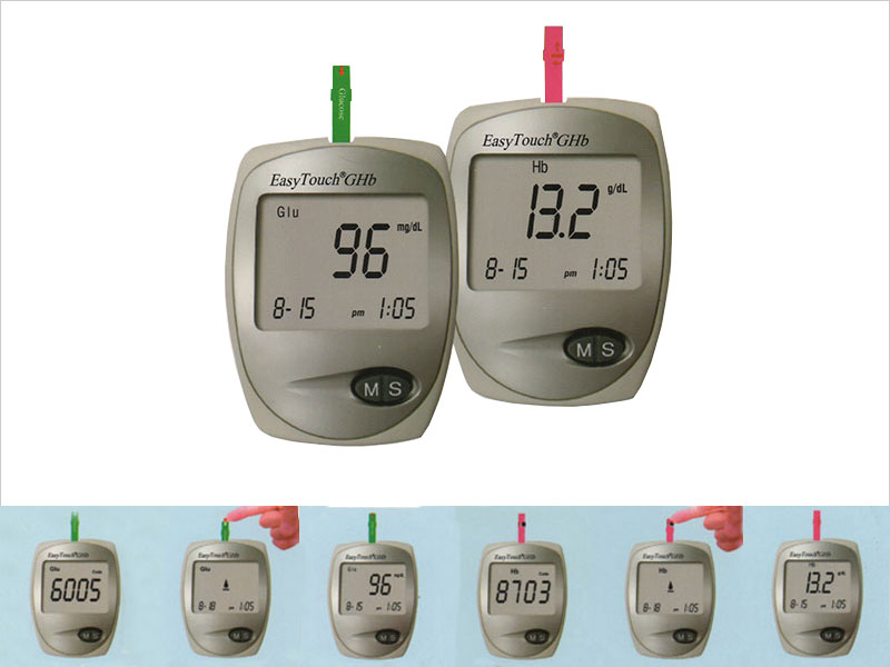 EasyTouch Glucometer GHB (Dual Function - Glucose+HB Testing) | Buy ...